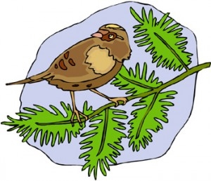 Why The Evergreen Trees Keep Their Leaves (Choral Reading) | Choral ...