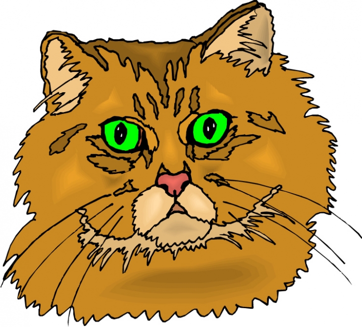 THE KING OF THE CATS | Readers Theatre Script